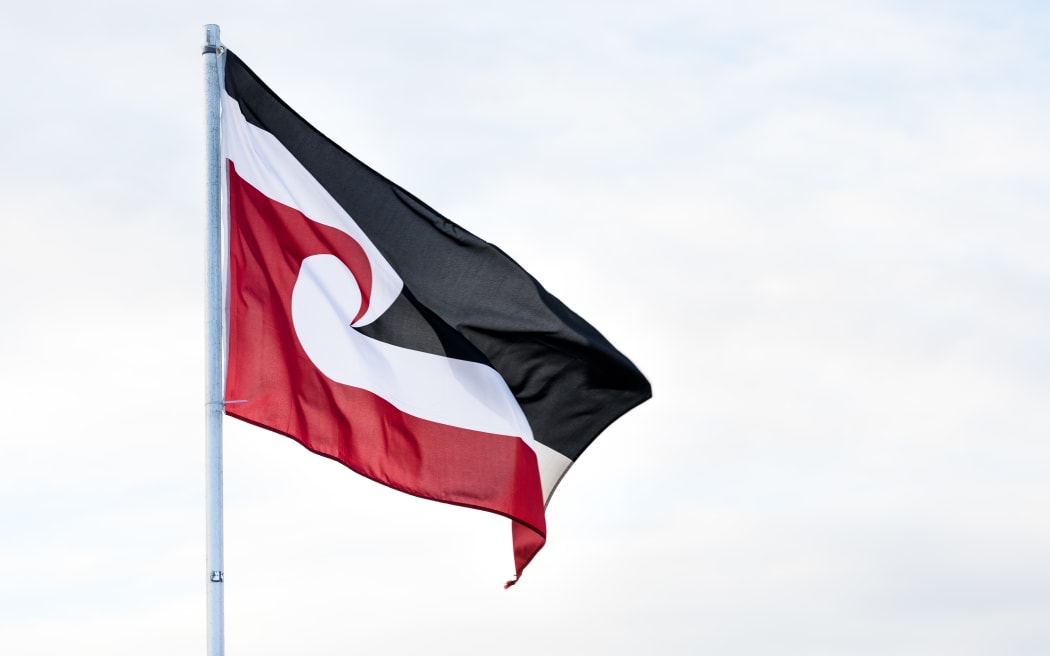 Petition for Tino Rangatiratanga flag emoji gains momentum | RNZ News