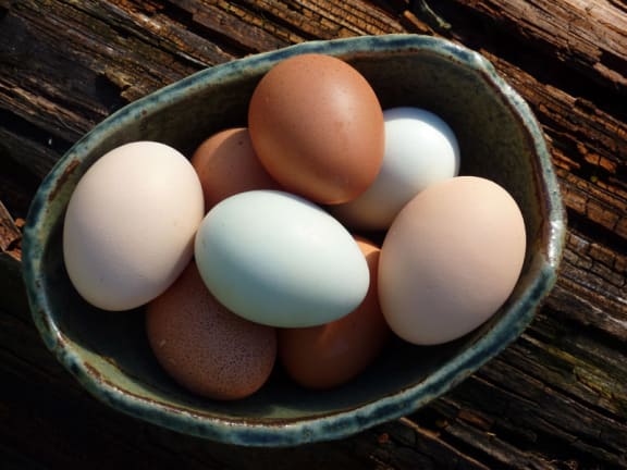 Moon Over Martinborough | A Gallery from Country Life | RNZ National