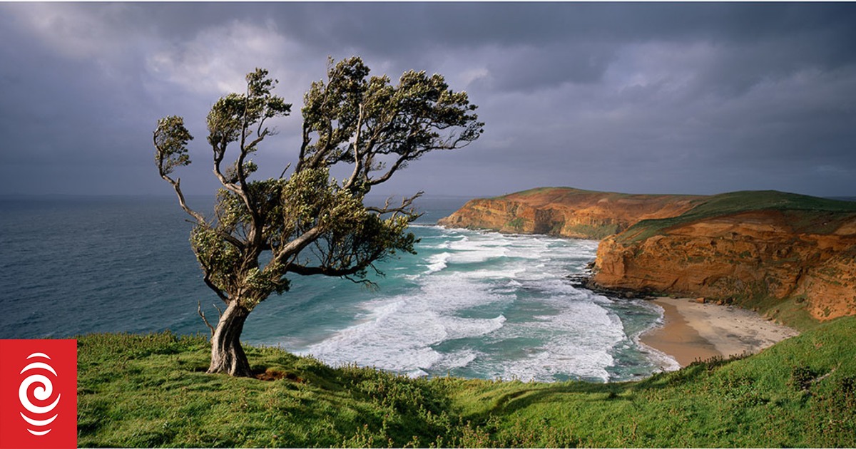 The world of Moriori | RNZ