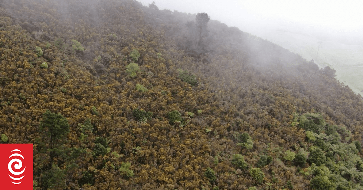 J Swap bid to quarry on QEII covenant land rejected by Court of Appeal ...