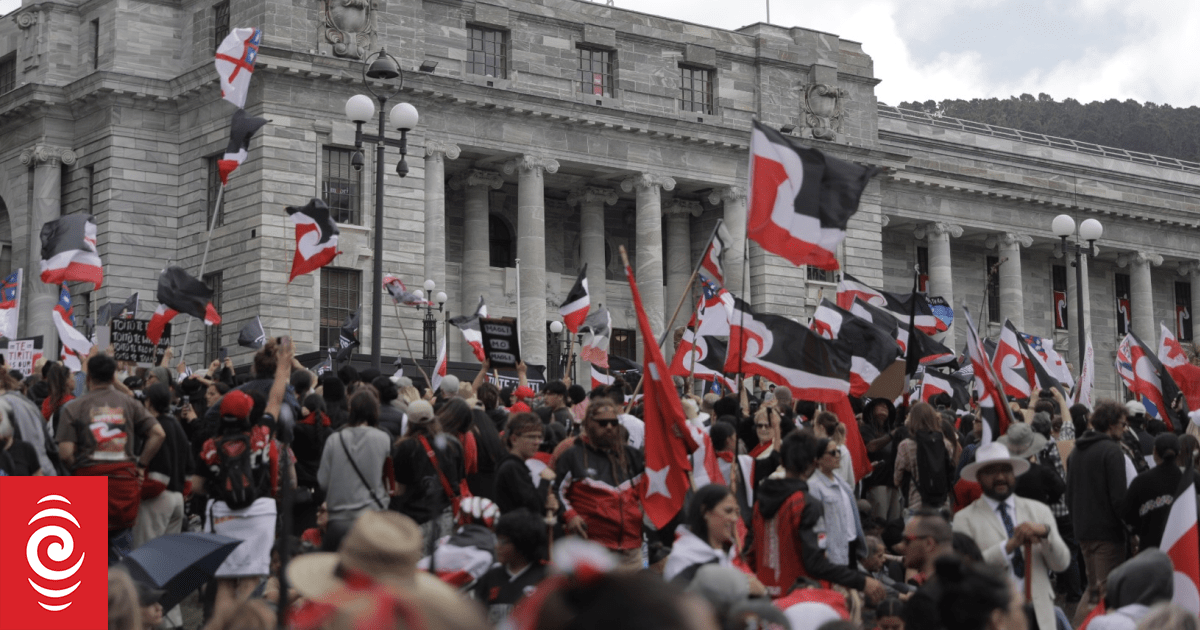 'Absolutely breaches of Te Tiriti o Waitangi': UN-bound report warns ...