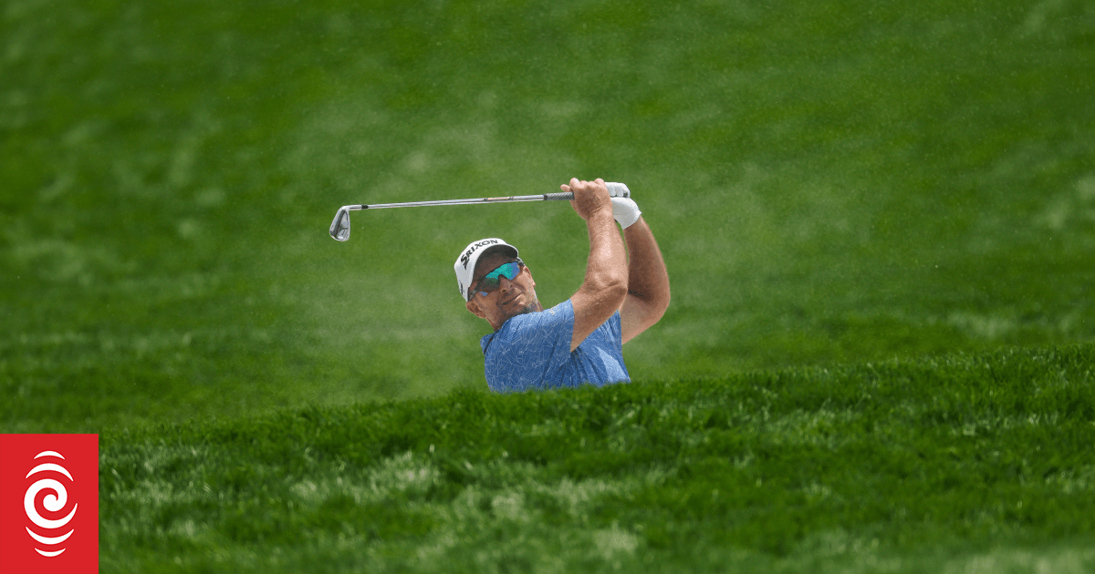 Solid enough: Ryan Fox has mixed opening round at US Open | RNZ News