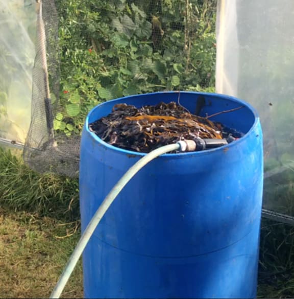 Making soil the superhero and hot and cold composting | RNZ