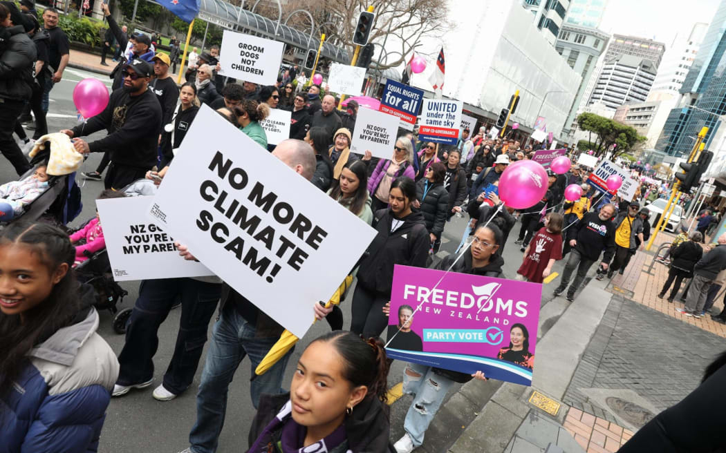 Hundreds of protesters gather in central Wellington | RNZ