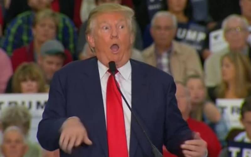 Trump mocks disabled reporter | RNZ