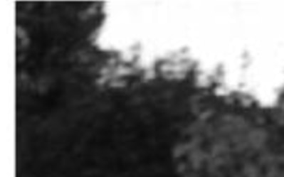 Barry De Geest: 'We were used as guinea pigs' | RNZ