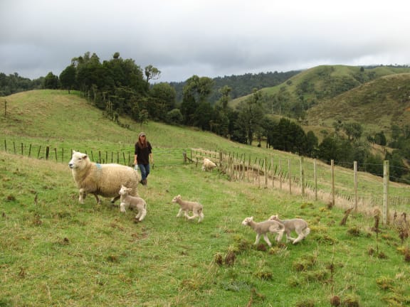 Relda Greenhalgh’s farm | A Gallery from Country Life | RNZ National