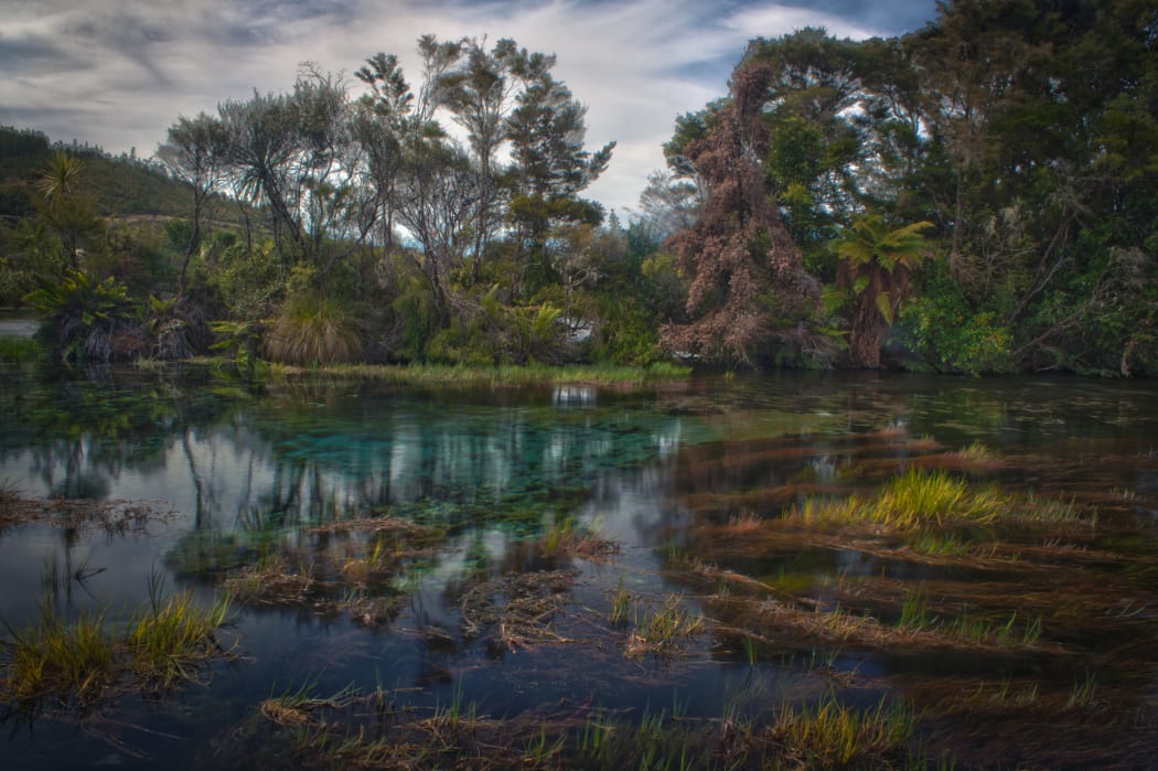 NZ's largest freshwater springs under threat from E coli | RNZ News