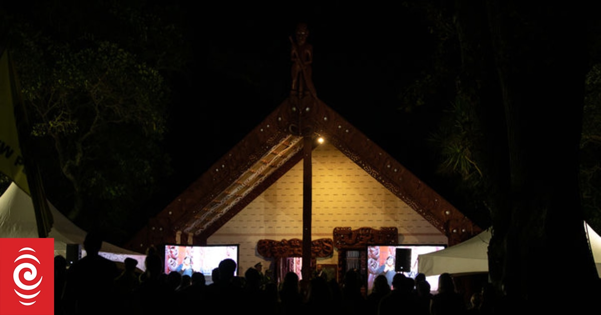 Greg McManus, CEO Waitangi Treaty Grounds Trust | RNZ