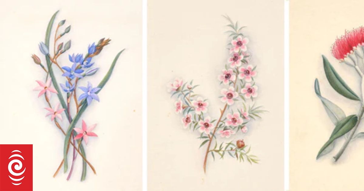 Is Fanny Osborne our most impressive forgotten artist? | RNZ