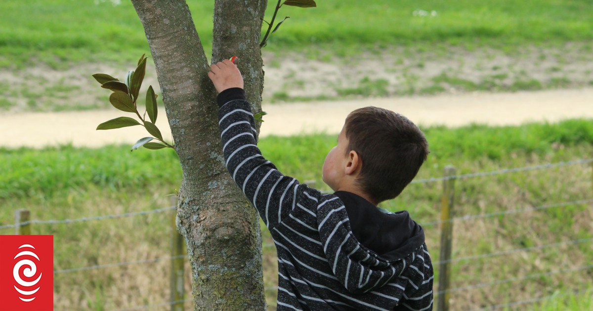 Families on the Spectrum: Hilary Stace | RNZ