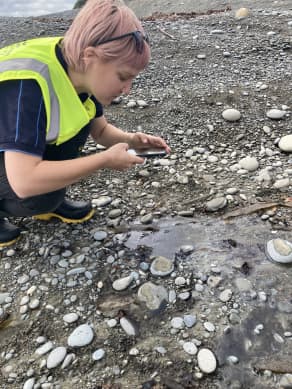 Oil spill at Timaru beach contained | RNZ