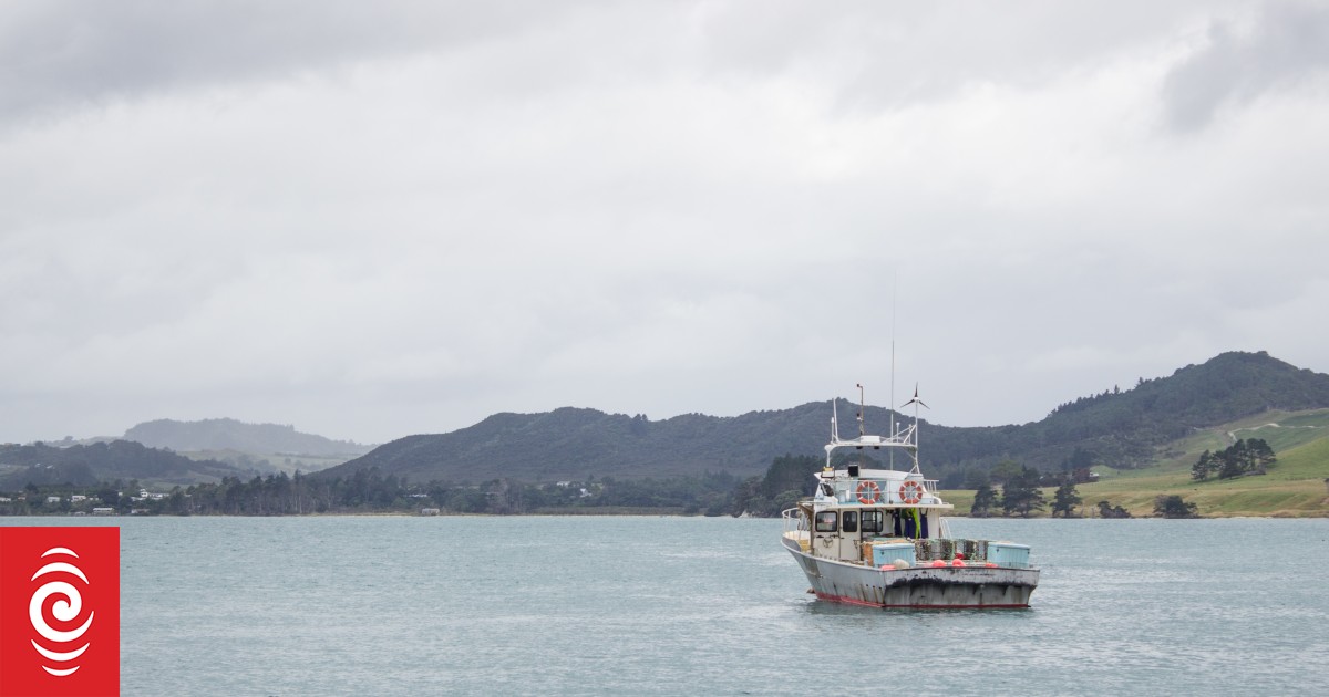 Fishers more 'vigilant' with reporting after on-boat cameras introduced ...