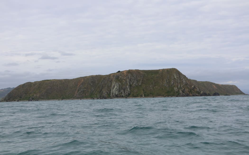 Diver dies after failing to surface near Mana Island | RNZ News