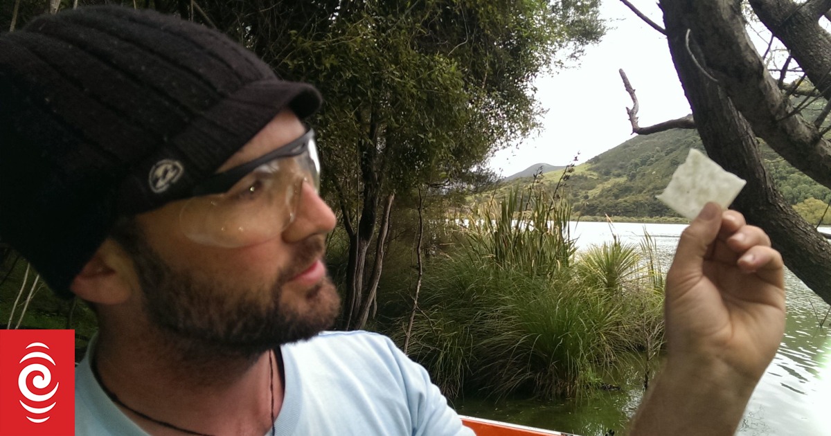 Toxic lake focus of bacterial research | RNZ News