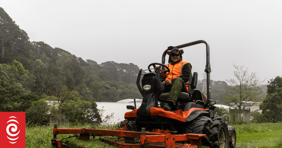 Wellington City Council's 'low mow' lawn approach a win for ...