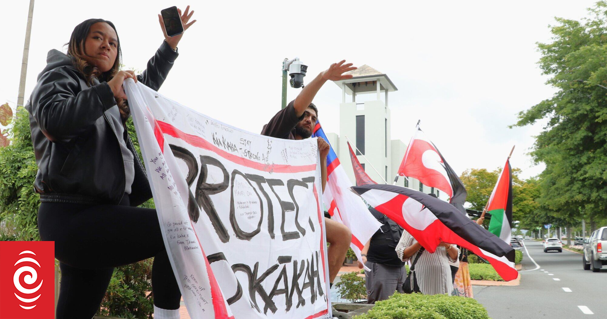 Rotokākahi pipeline planning grievances aired in High Court | RNZ News