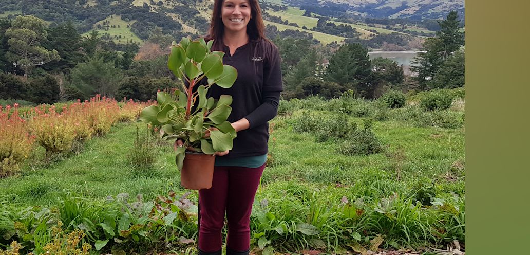 Country Life for Friday 5 July 2019 Country Life | RNZ