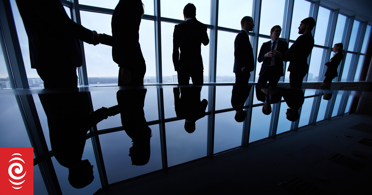 Directors under pressure with escalating workload and risks | RNZ News