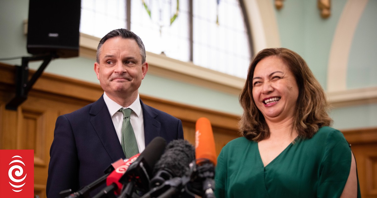 Green Party leaders 'proud' of constitution changes | RNZ News