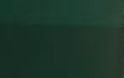 Poet - Tayi Tibble | RNZ