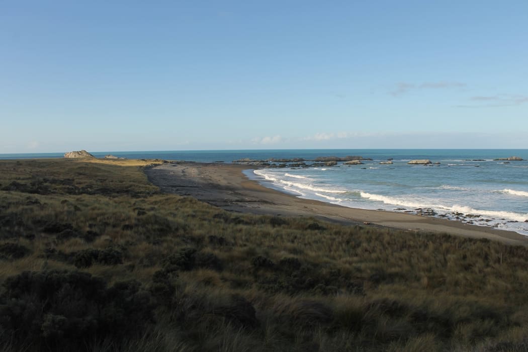 Fishing company defends driving along beach | RNZ News