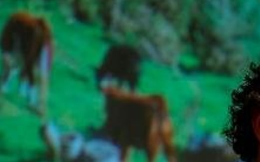 Whatever happened to Think Big and Rogernomics? | RNZ