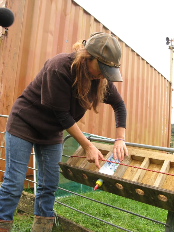 Relda Greenhalgh’s farm | A Gallery from Country Life | RNZ National