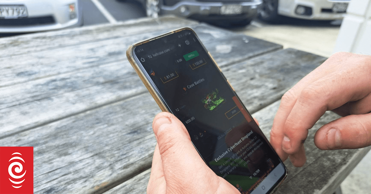 NZ Game developers are confident of continued growth | RNZ