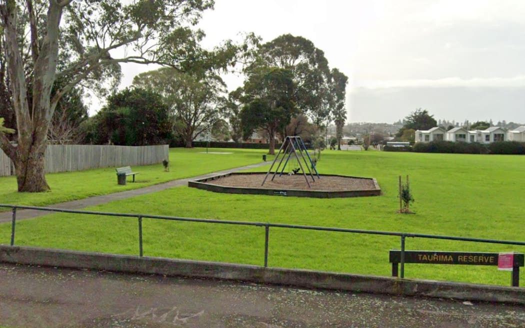 Armed Offenders Squad, detectives search gang pad in Point England ...