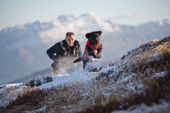 David Darcy | A Gallery from Nine To Noon | RNZ National