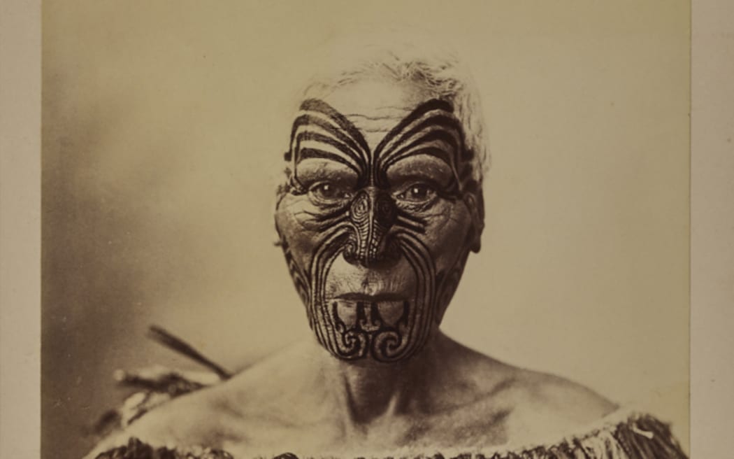 Extinct huia speciman expected to sell for less than a single feather ...