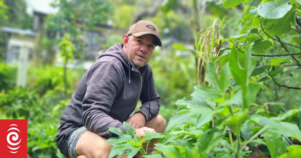 Meal worm larvae on the menu at Sustainable Backyard Trail | RNZ News