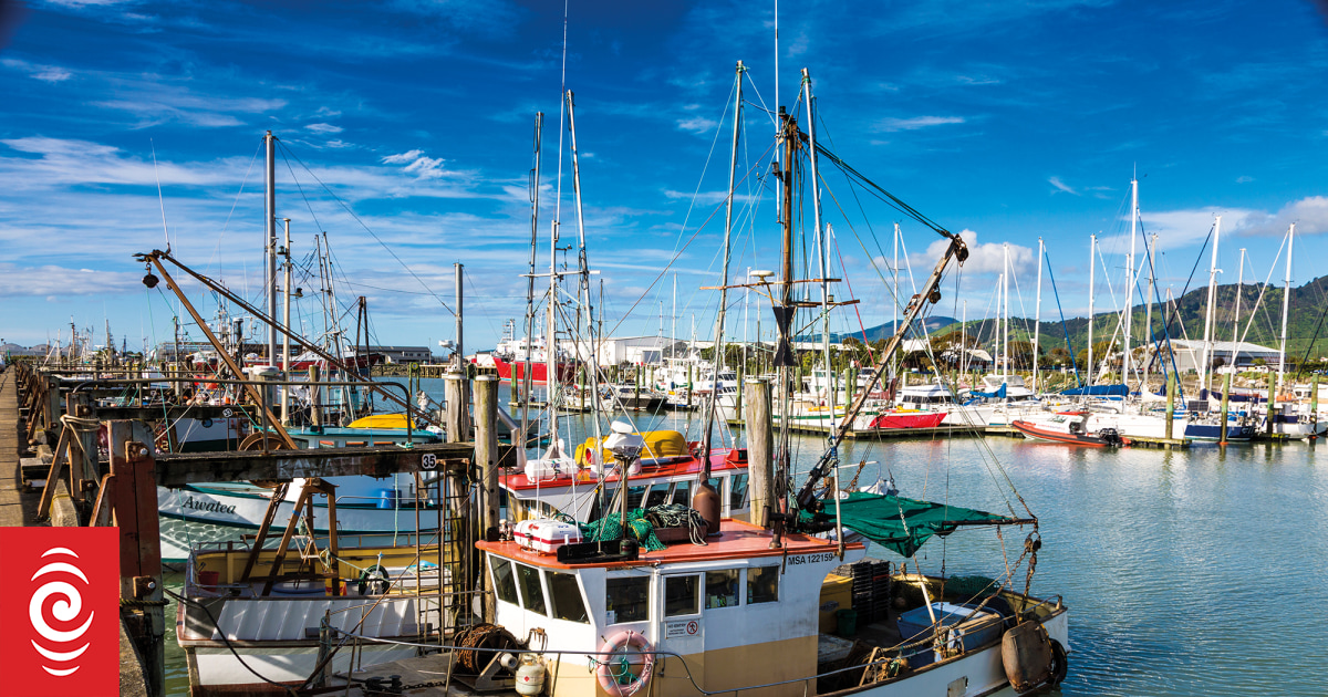 Report: 'Quota management system needs overhaul' | RNZ