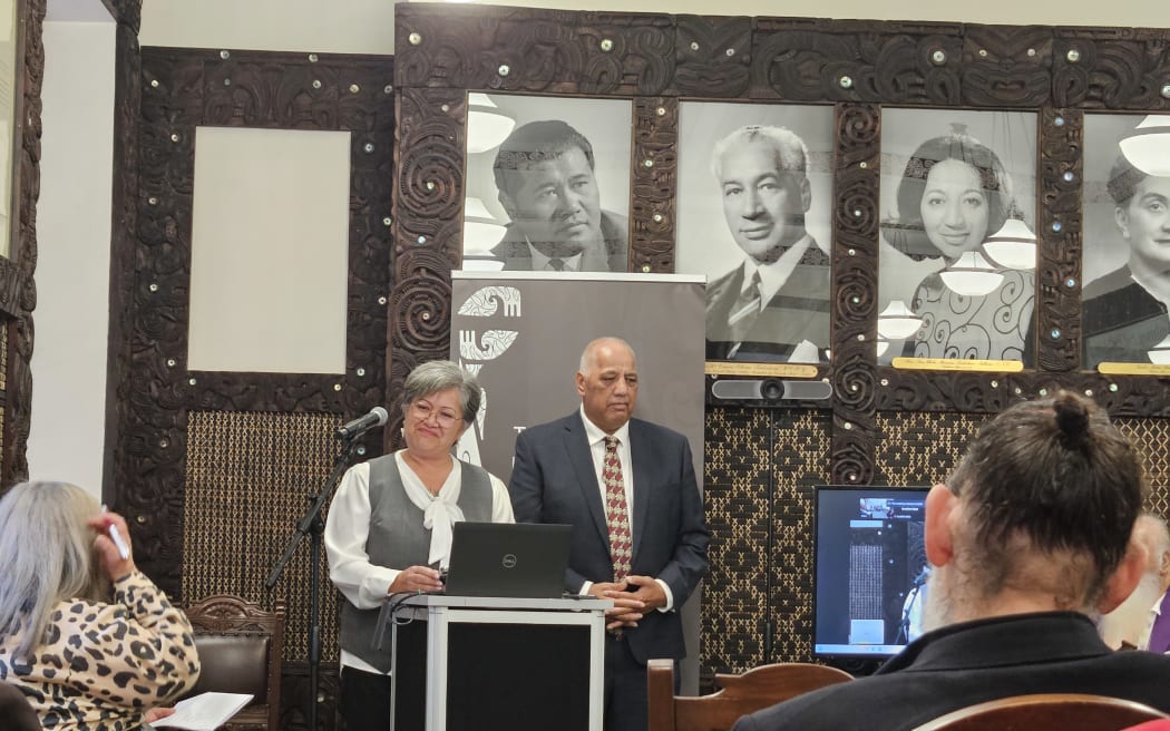 Māori unions and iwi leaders say the Budget will not alleviate Māori ...