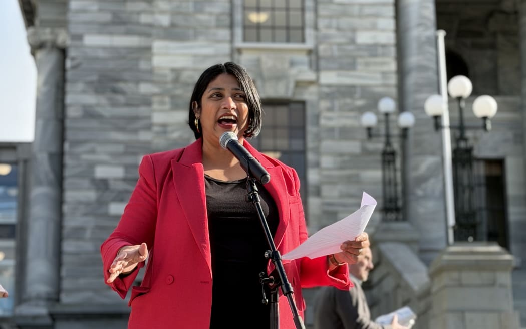 Election 2026 | RNZ News