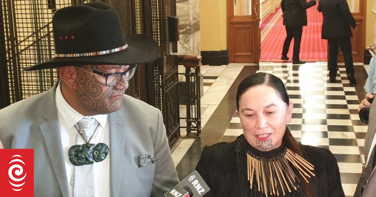 Political commentators Jones & Sherson | RNZ