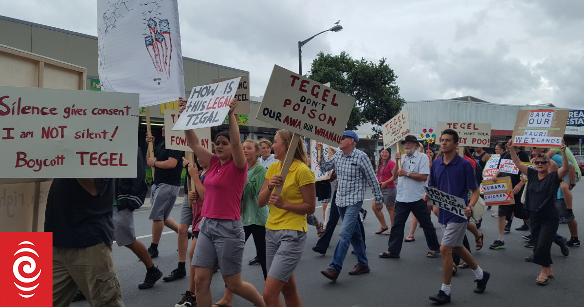 Protest over planned mega chicken farm | RNZ News