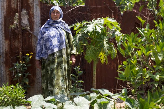 Lalage Snow's War Gardens | A Gallery from Nine To Noon | RNZ National