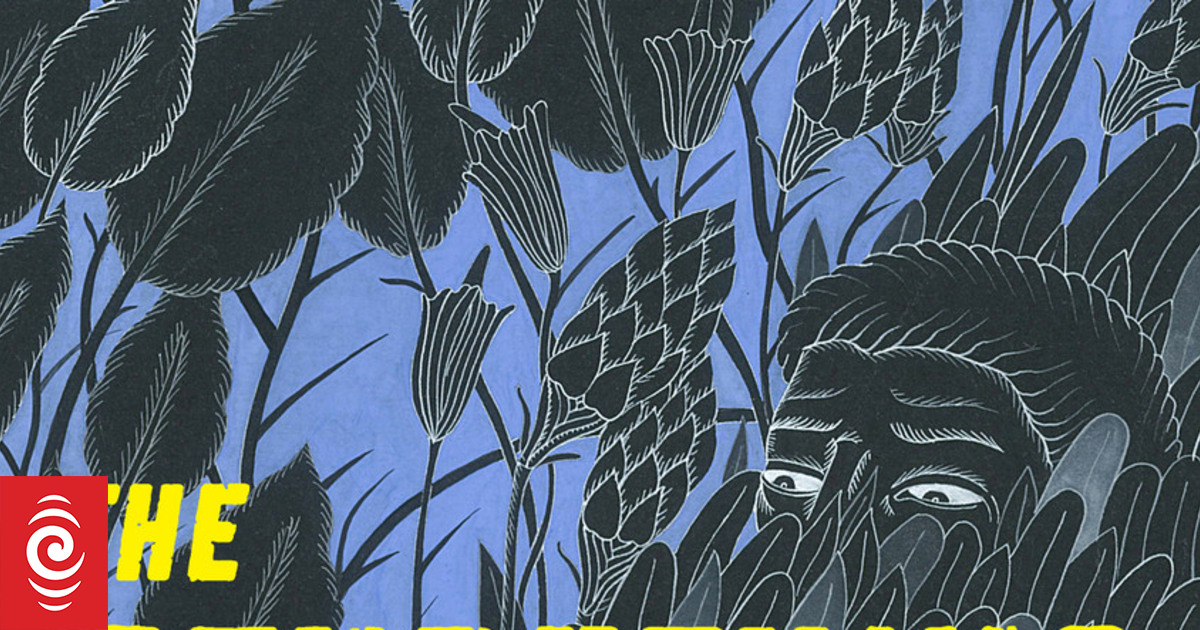 Book review - The Stupefying by Nick Ascroft | RNZ