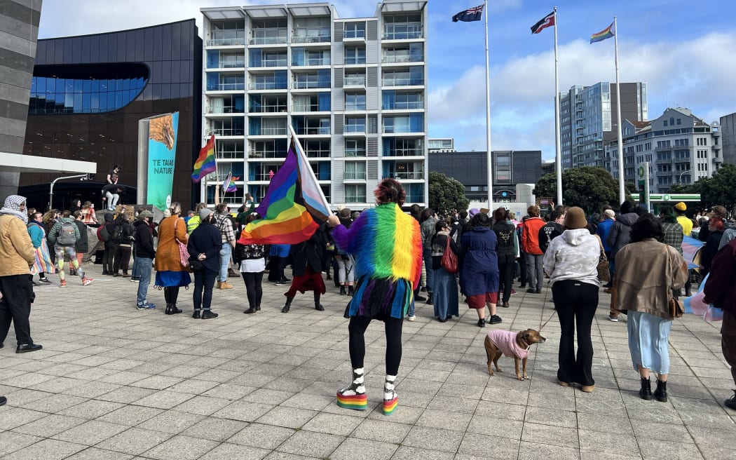 Hundreds protest outside controversial conference in Wellington | RNZ News