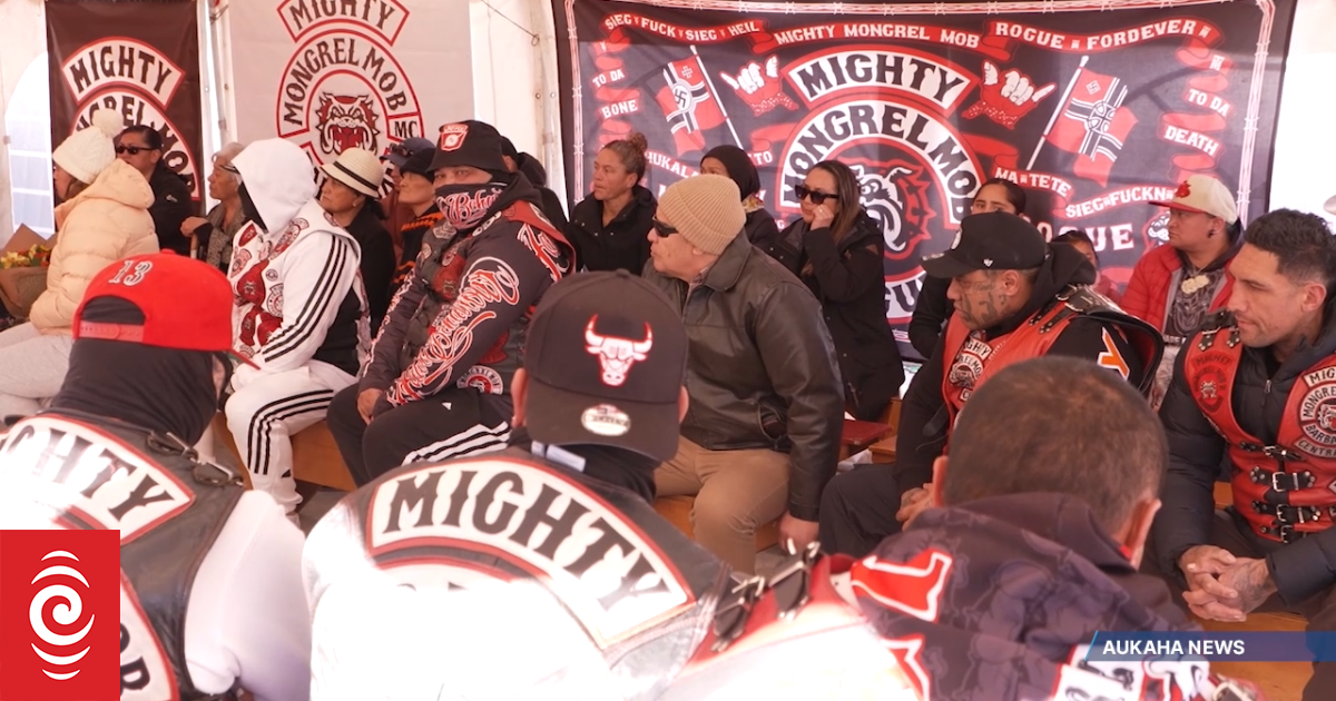 Bay of Plenty: police monitoring gang action | RNZ