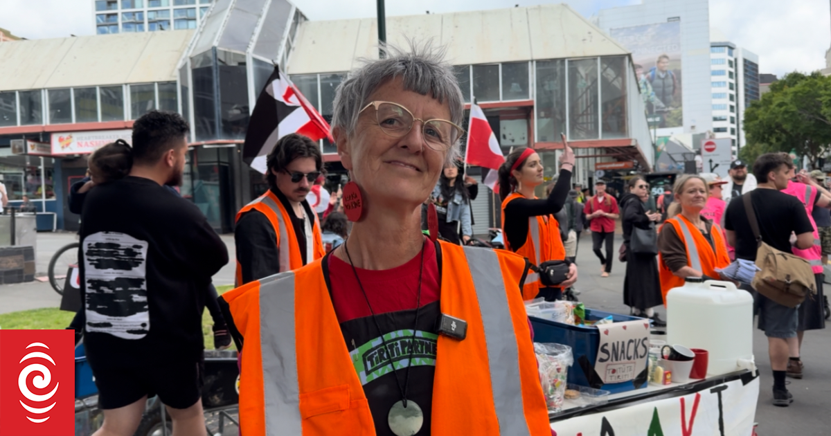 Pākehā Te Tiriti leader reflects on Hīkoi mō Te Tiriti one year on ...