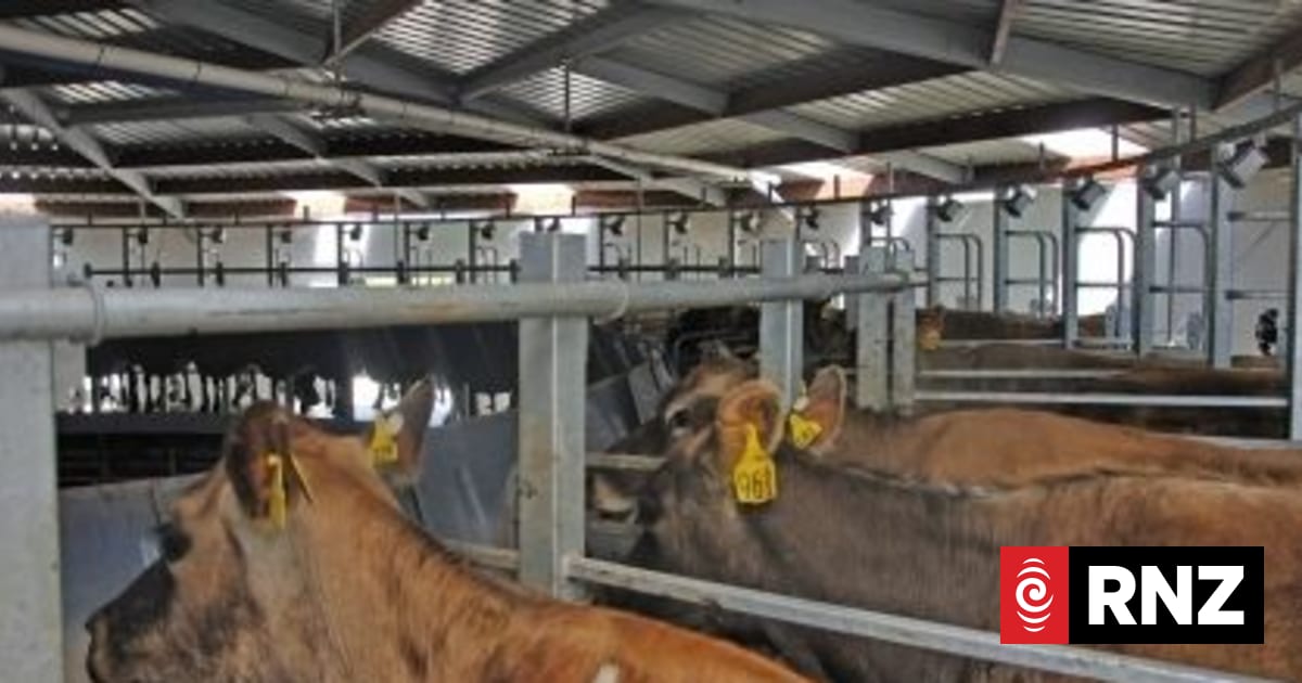 Other solutions must be considered - Rolleston | RNZ