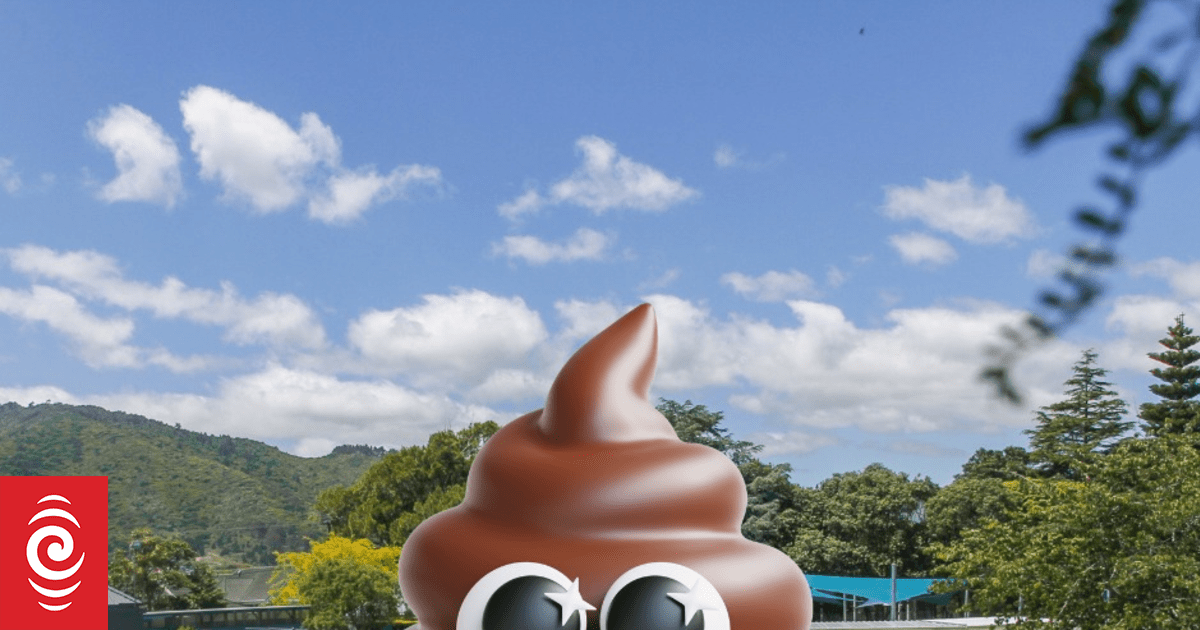 Vomit, blood, faecal matter and ducks behind Waikanae Pool closures ...