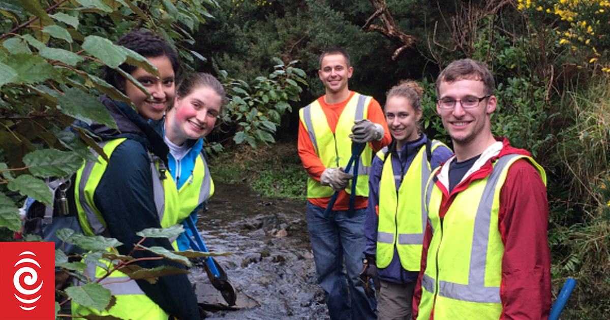 Volunteers descend on Papakura Stream for major clean-up | RNZ News
