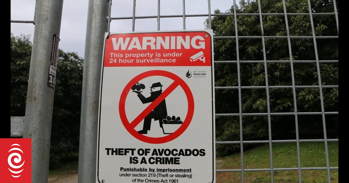 Fruit and Vege Report with Glenn Forsyth | RNZ