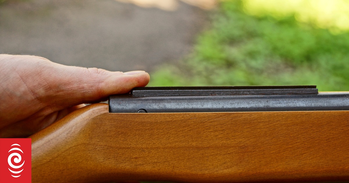 Call for government ban on rifles easily cut down into handguns | RNZ News