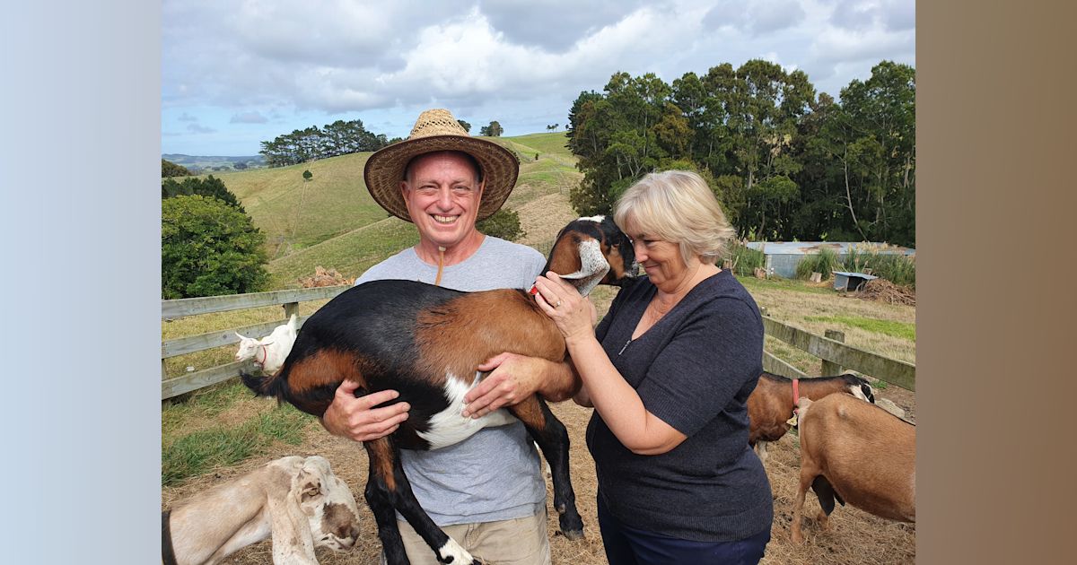 Country Life for Friday 15 April 2022 Country Life | RNZ