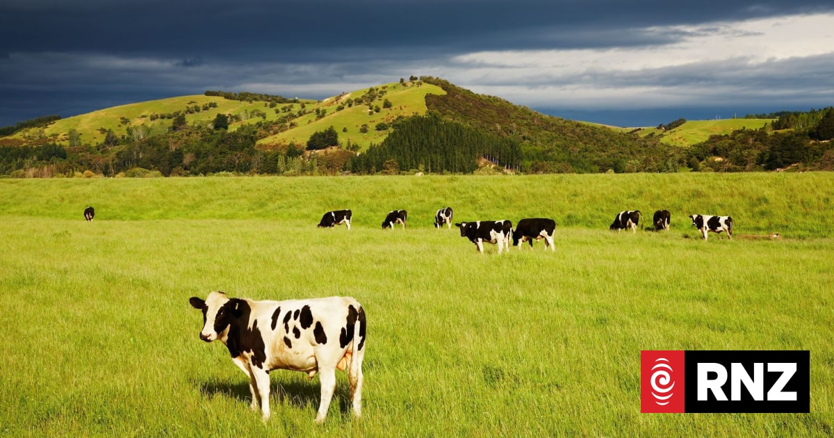 Banking sector review: Rural community says services as important as ...